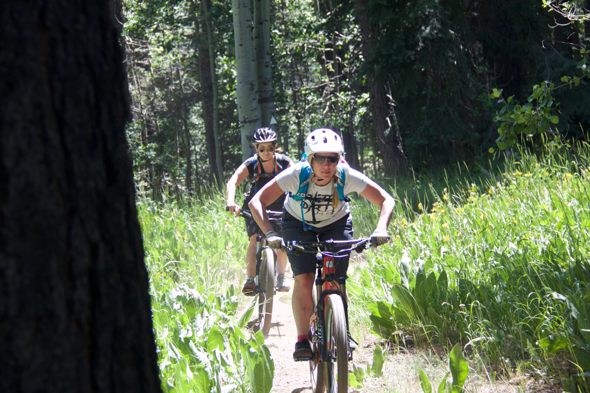 MTB Hand Position On Handlebars And Why It Matters